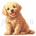 Golden Retriever Puppies Clipart | 10 High Quality Jpg's | Digital ...
