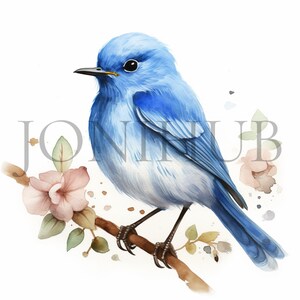 Watercolor Blue Bird Clipart | 10 High Quality Jpg's | Digital Download ...
