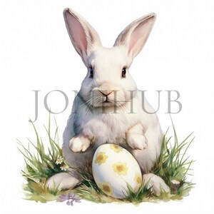 Easter Bunny and Egg Clipart | 10 High Quality Jpg's | Digital Download ...