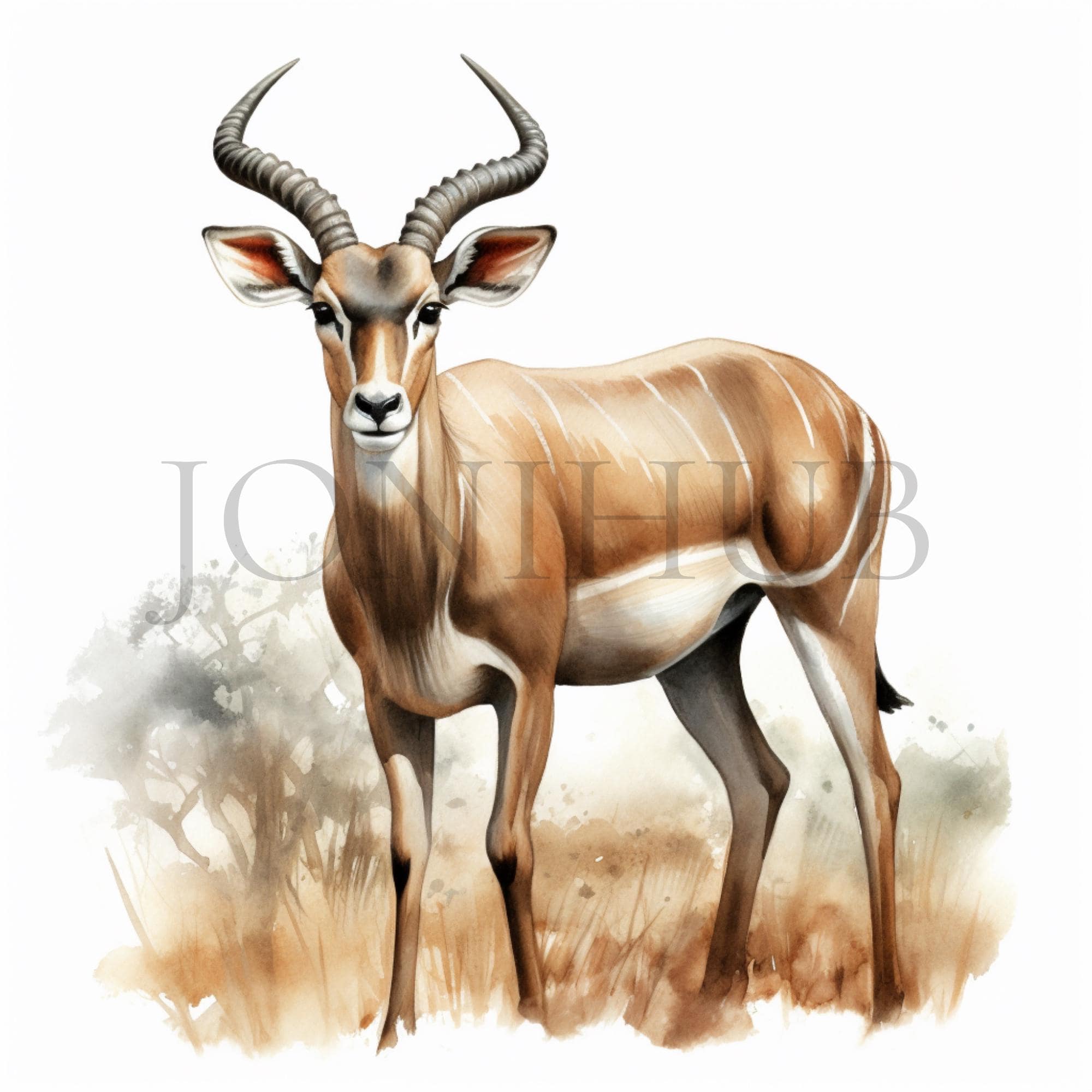 Great Kudu Antelope Clipart | 10 High Quality Jpg's | Digital Download ...