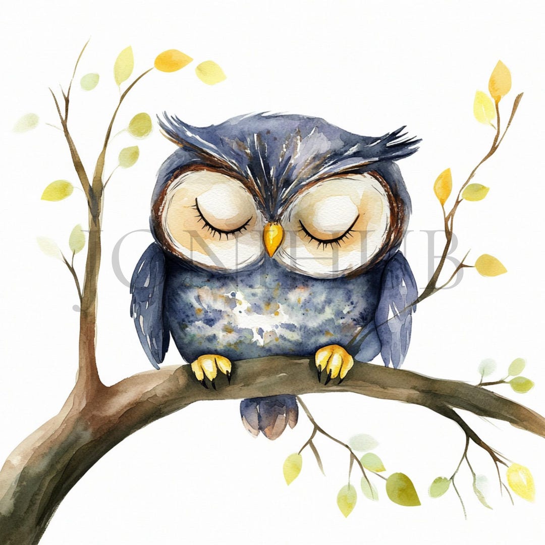 Owl Sleeping Clipart | 10 High Quality Jpg's | Digital Download ...