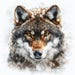 Wolf in Winter Clipart | 10 High Quality Jpgs | Digital Download | Wild ...