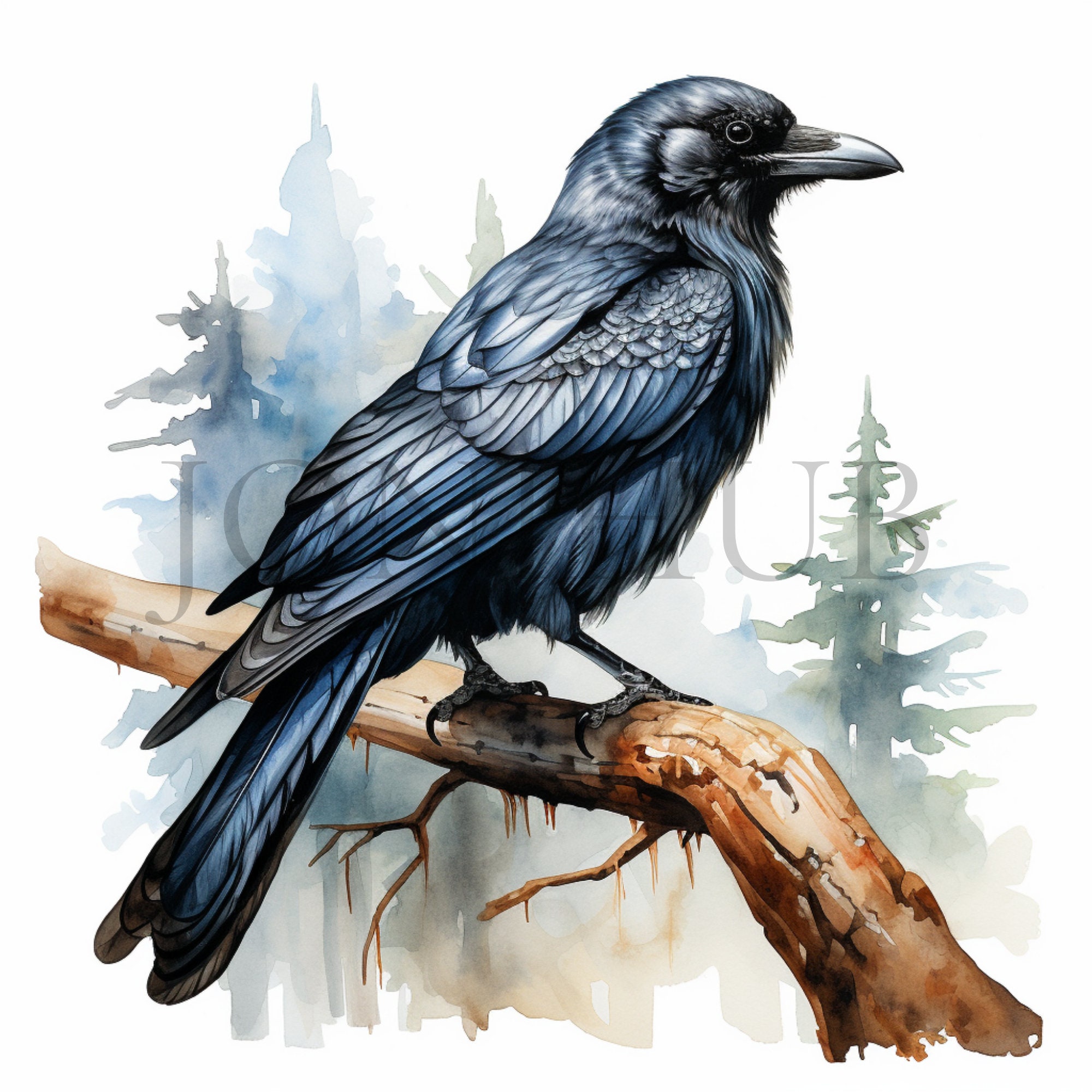 Raven Clipart | 10 High Quality Jpg's | Digital Download | Crow ...