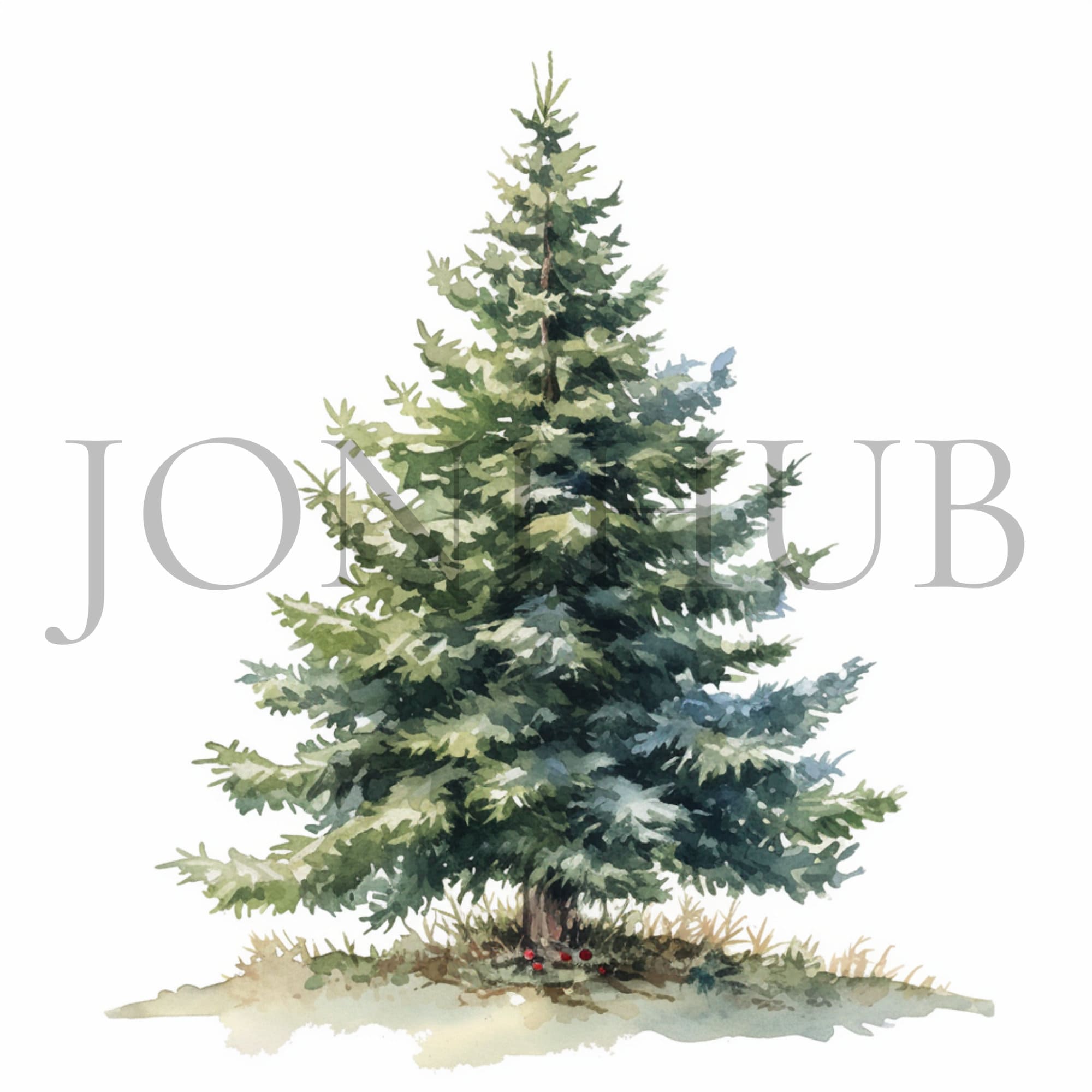 Fir Trees Clipart 10 High Quality Jpg's Digital Download Nature Clipart ...
