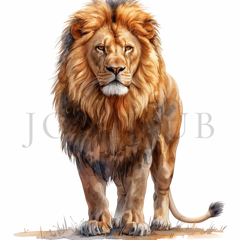Lion Clipart 10 High Quality Jpgs Digital Download Nursery Art Card ...
