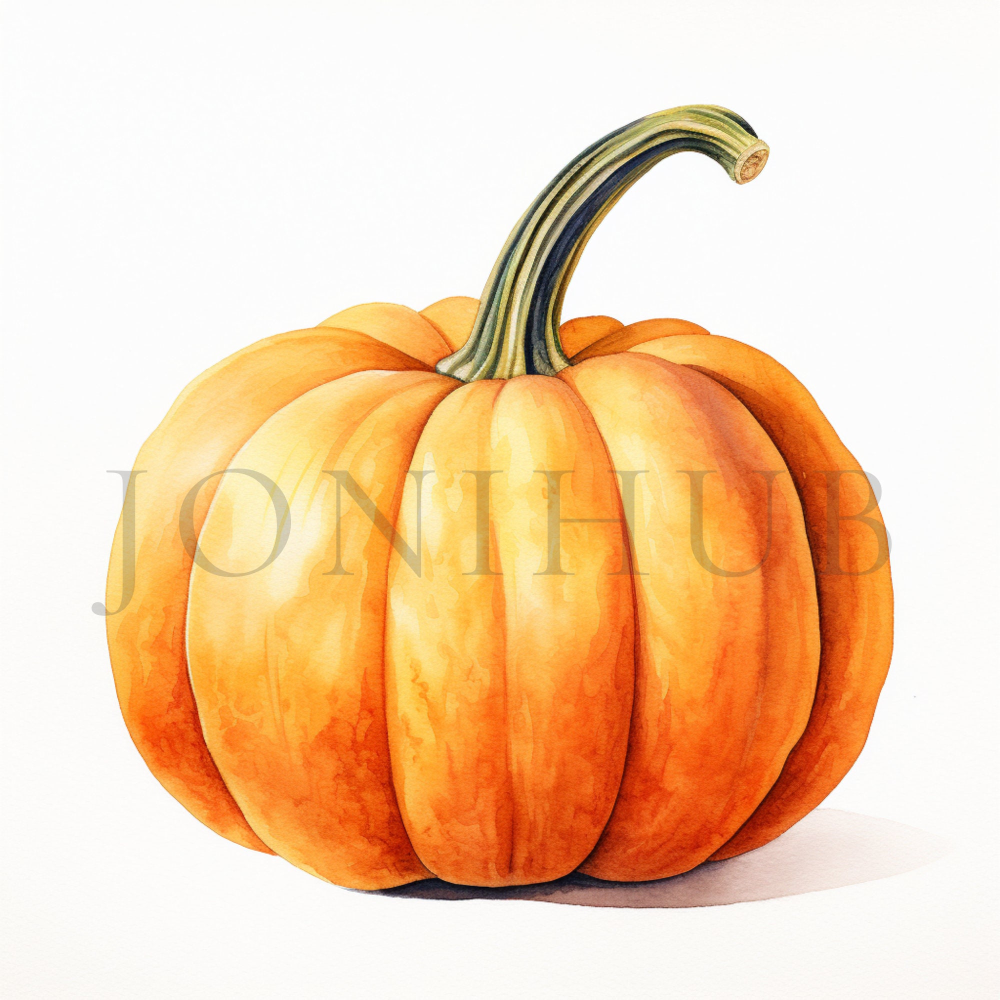 Watercolor Pumpkin | 10 High Quality Jpgs | Digital Download | Pumpkin ...