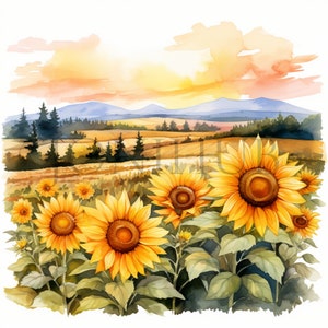 Sunflowers Fields Clipart | 10 High Quality Jpg's | Digital Download ...