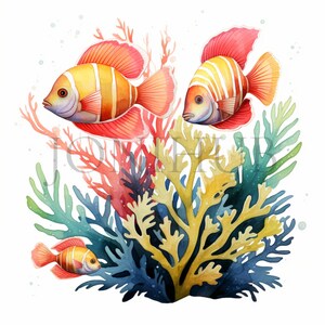 Vibrant Coral Reef Fish Clipart | 10 High Quality Jpg's | Digital ...