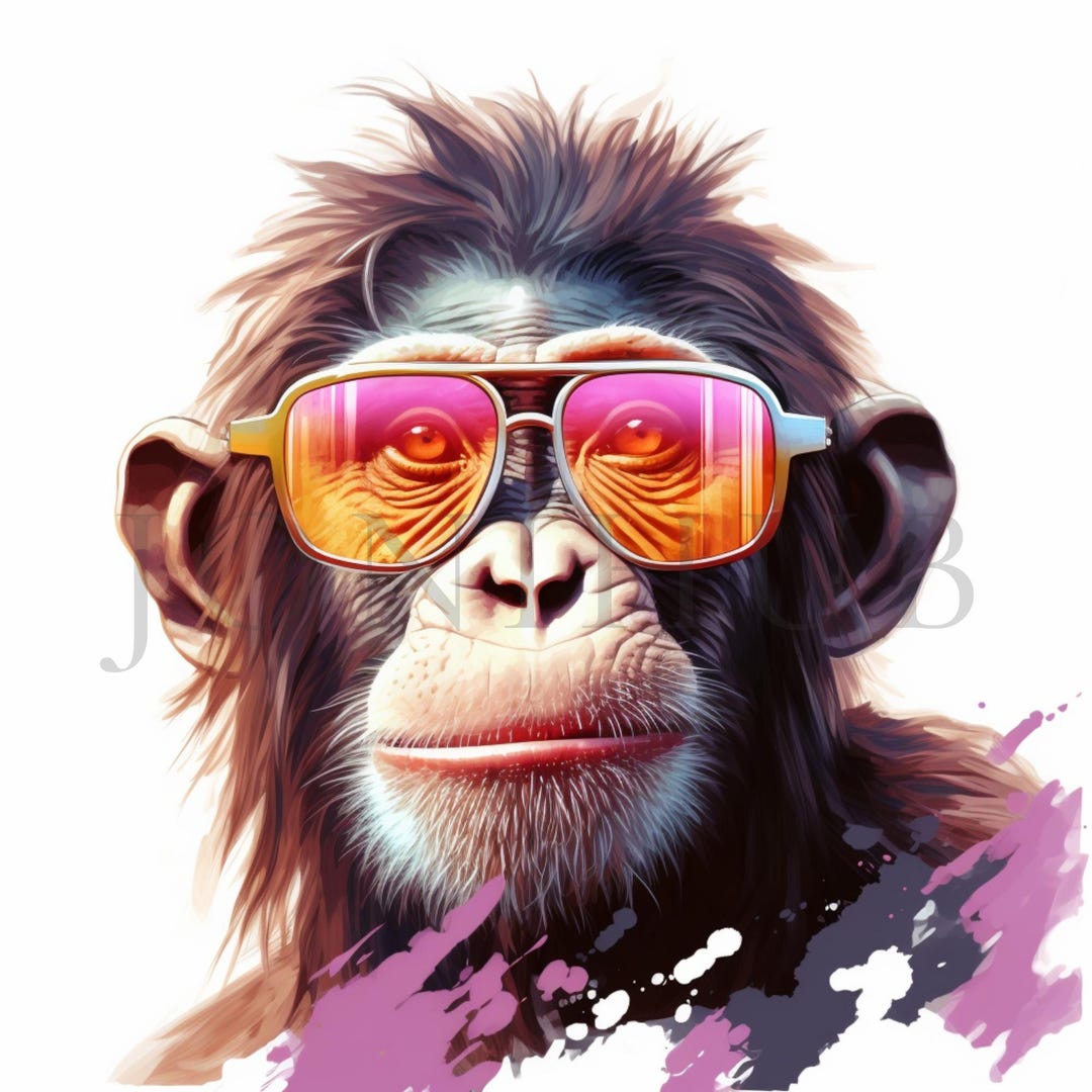 Cool Monkeys Clipart | 10 High Quality Pngs | Digital Download ...