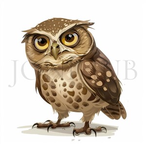 Burrowing Owl Clipart | 10 High Quality Jpgs | Digital Download | Owl ...