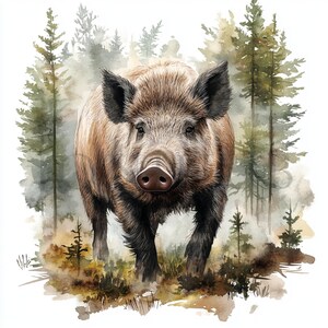 Wild Boar in Forest Clipart | 10 High Quality Jpgs | Digital Download ...