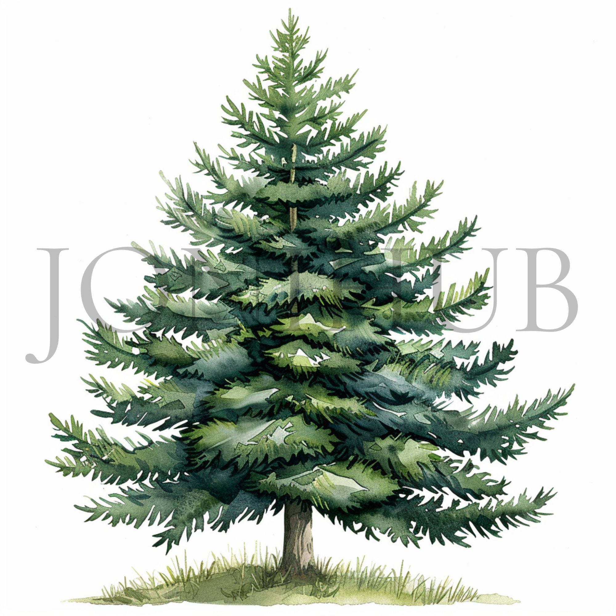 Fir Trees Clipart 10 High Quality Jpg's Digital Download Fir Tree ...