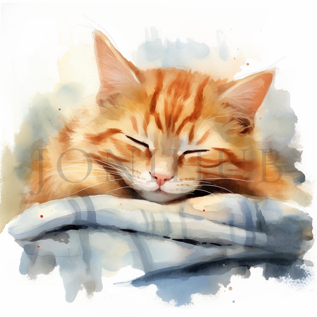 Sleeping Cats Clipart | 10 High Quality Jpgs | Digital Download | Card ...