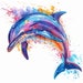 Colorful Dolphins Clipart | 10 High Quality Jpg's | Digital Download ...