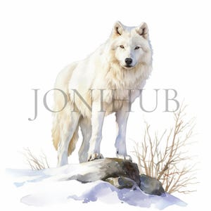 Wolf in Winter Clipart | 10 High Quality Jpgs | Digital Download ...
