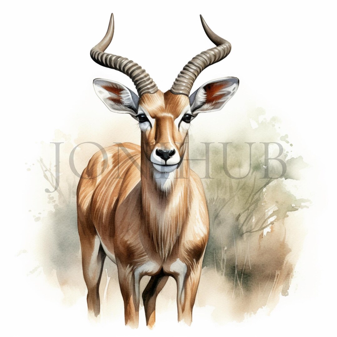 Great Kudu Antelope Clipart | 10 High Quality Jpg's | Digital Download ...