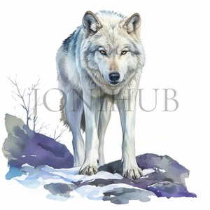 Wolf in Winter Clipart | 10 High Quality Jpgs | Digital Download ...