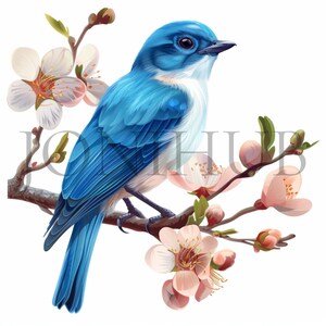 Spring Blue Bird Clipart | 10 High Quality Jpg's | Digital Download ...