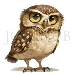 Burrowing Owl Clipart | 10 High Quality Jpgs | Digital Download | Owl ...
