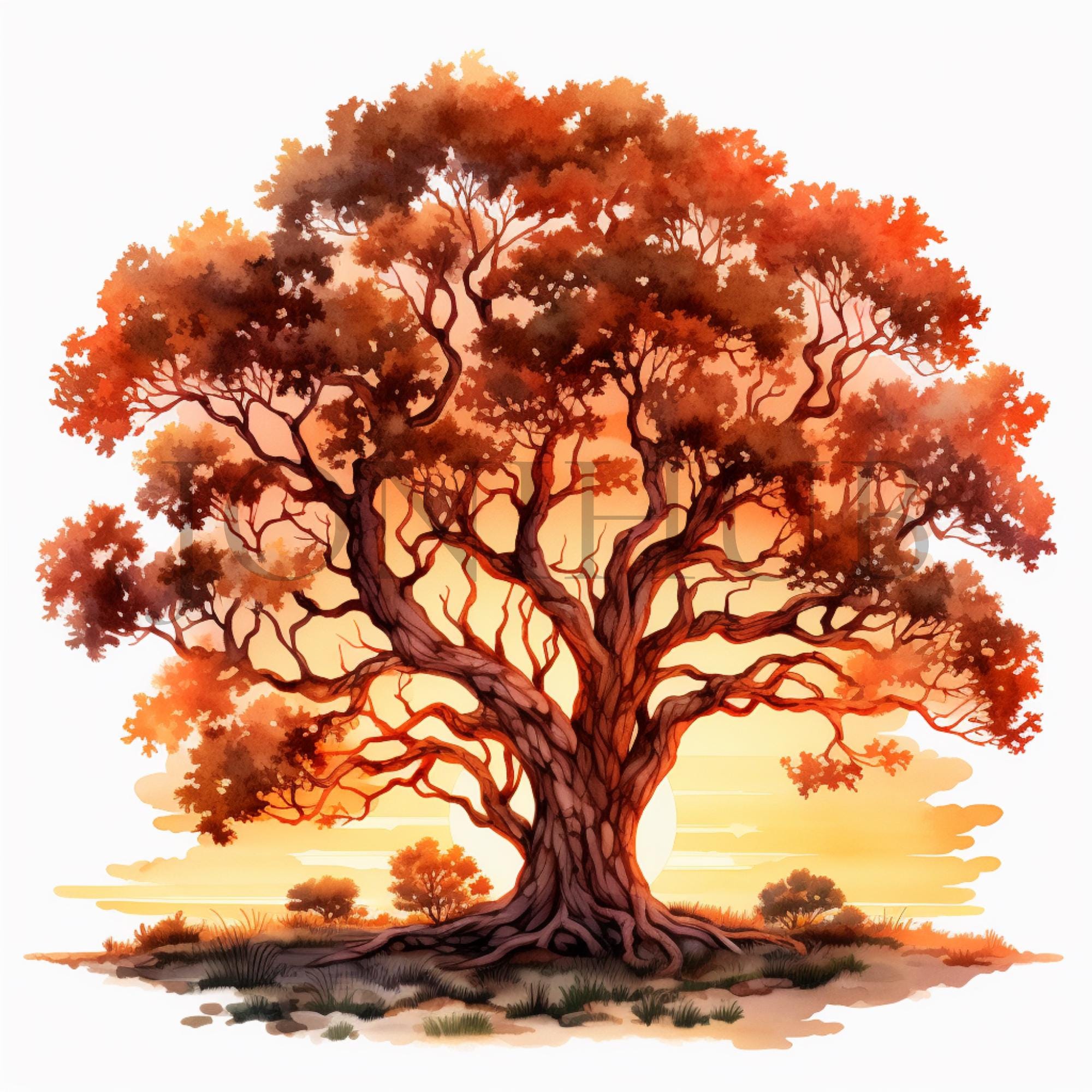 Oak at Sunset Clipart 10 High Quality Jpg's Digital Download Landscape ...