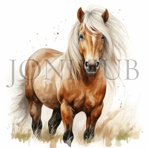 Pony Clipart | 10 High Quality Jpg's | Digital Download | Cute Pony Art ...