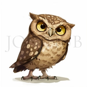 Burrowing Owl Clipart | 10 High Quality Jpgs | Digital Download | Owl ...