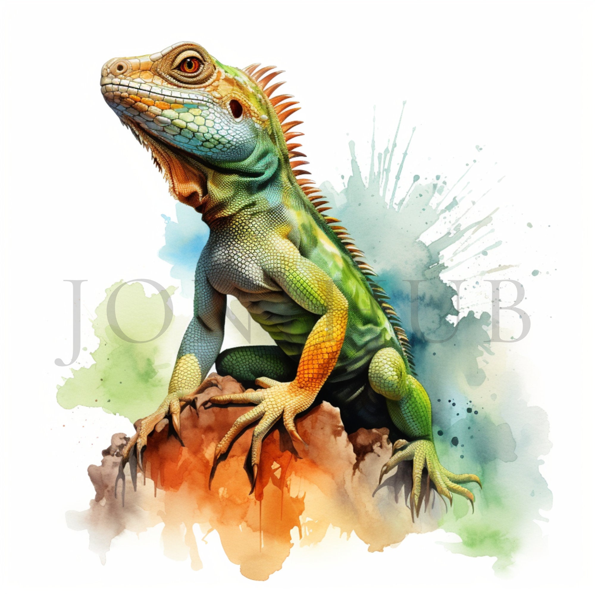 Lizard Clipart 10 High Quality Jpg's Instant Digital Download Digital ...