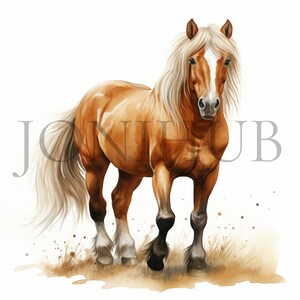 Pony Clipart | 10 High Quality Jpg's | Digital Download | Cute Pony Art ...
