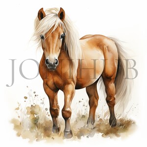 Pony Clipart | 10 High Quality Jpg's | Digital Download | Cute Pony Art ...