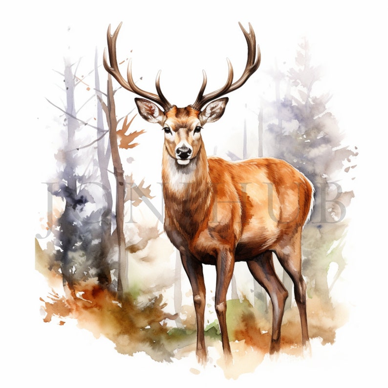 Watercolor Deer in a Forest Clipart 10 High Quality Jpgs Digital ...