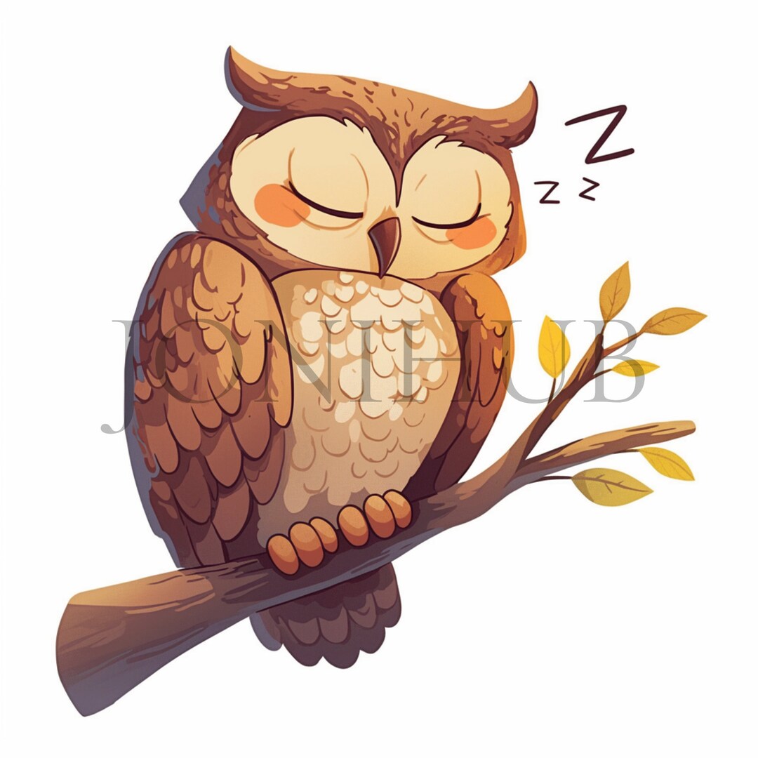 Sleepy Owls Clipart | 10 High Quality Jpg's | Digital Download | Bird ...