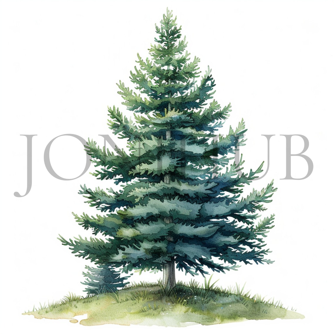Fir Trees Clipart 10 High Quality Jpg's Digital Download Fir Tree ...