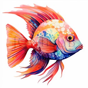 Vibrant Coral Reef Fish Clipart | 10 High Quality Jpg's | Digital ...