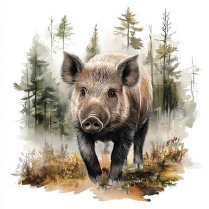 Wild Boar in Forest Clipart | 10 High Quality Jpgs | Digital Download ...