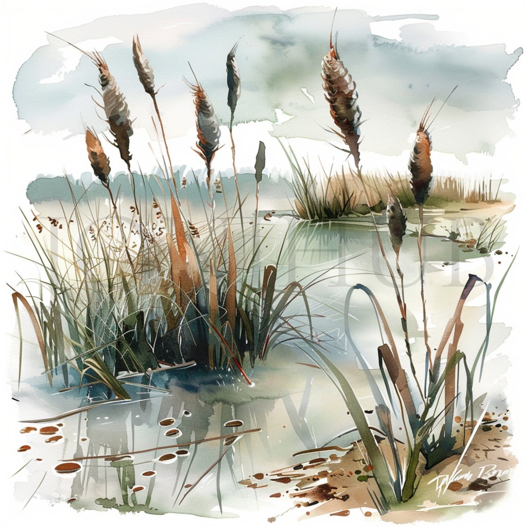 Watercolor Cattails and Reeds in Water Pond Clipart | 10 High Quality ...