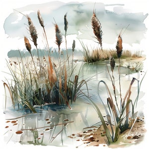 Watercolor Cattails and Reeds in Water Pond Clipart | 10 High Quality ...