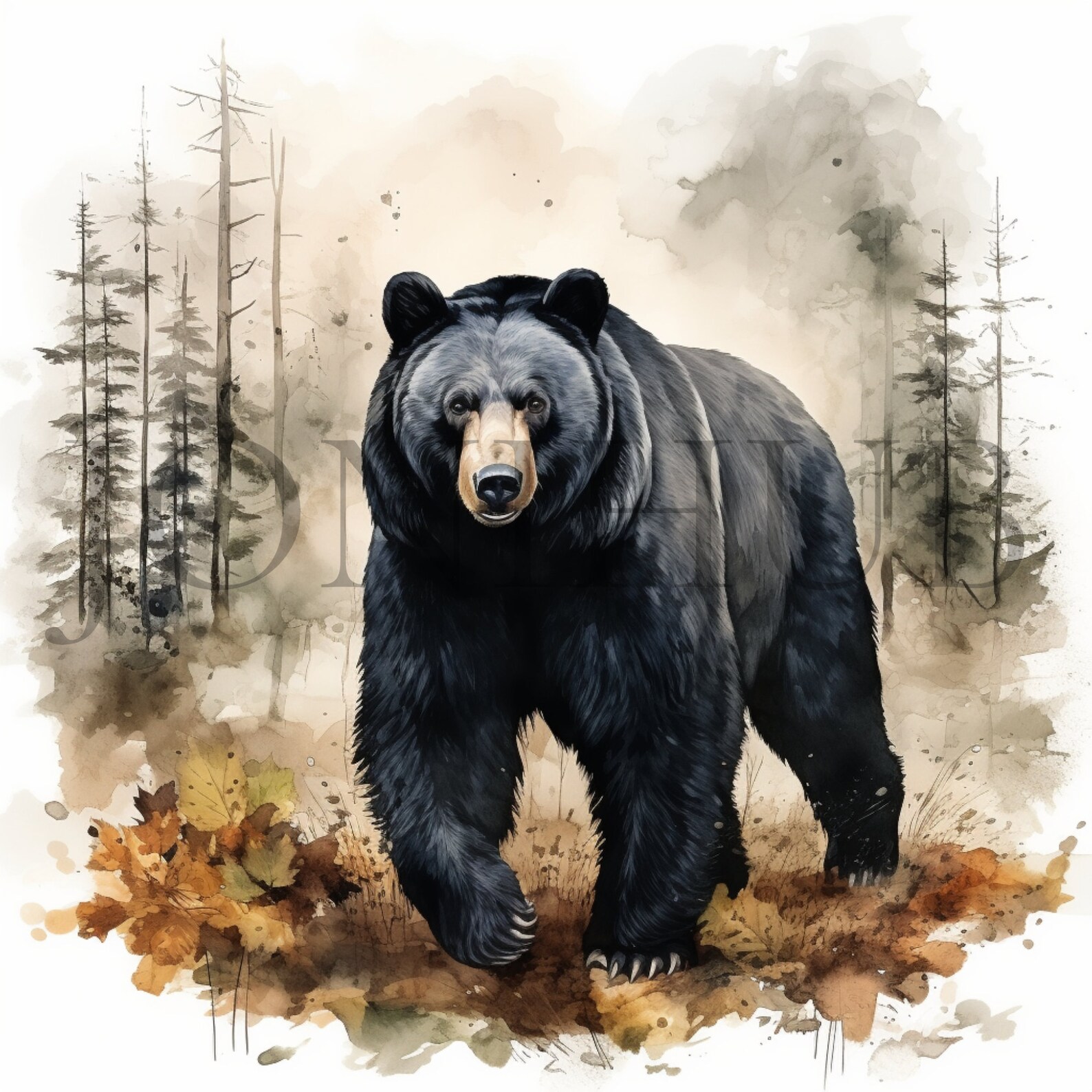 Watercolor Black Bear Clipart 10 High Quality Jpgs Digital Download ...