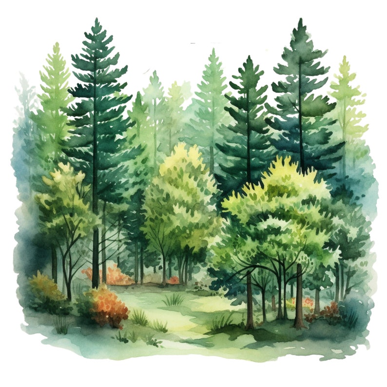 Watercolor Forest Clipart | 10 High Quality Jpegs | Misty Forest ...