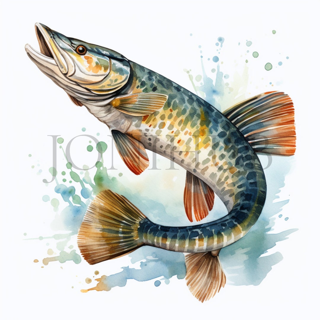 Northern Pike Clipart | 10 High Quality Jpg's | Digital Download | Fish ...