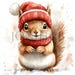 Squirrel Christmas Hat Clipart | 10 High Quality Jpg's | Digital ...