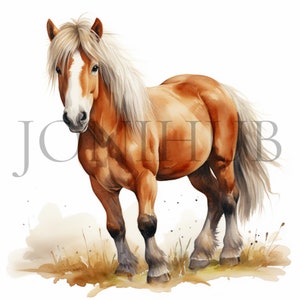 Pony Clipart | 10 High Quality Jpg's | Digital Download | Cute Pony Art ...
