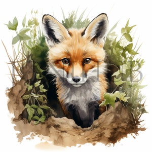 Fox in the Den Clipart | 10 High Quality Jpgs | Digital Download ...