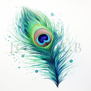 Peacock Feather Clipart | 10 High Quality Jpgs | Digital Download ...