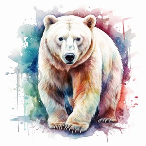 Colorful Polar Bear Clipart | 10 High Quality Jpgs | Digital Download ...