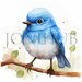 Watercolor Blue Bird Clipart | 10 High Quality Jpg's | Digital Download ...