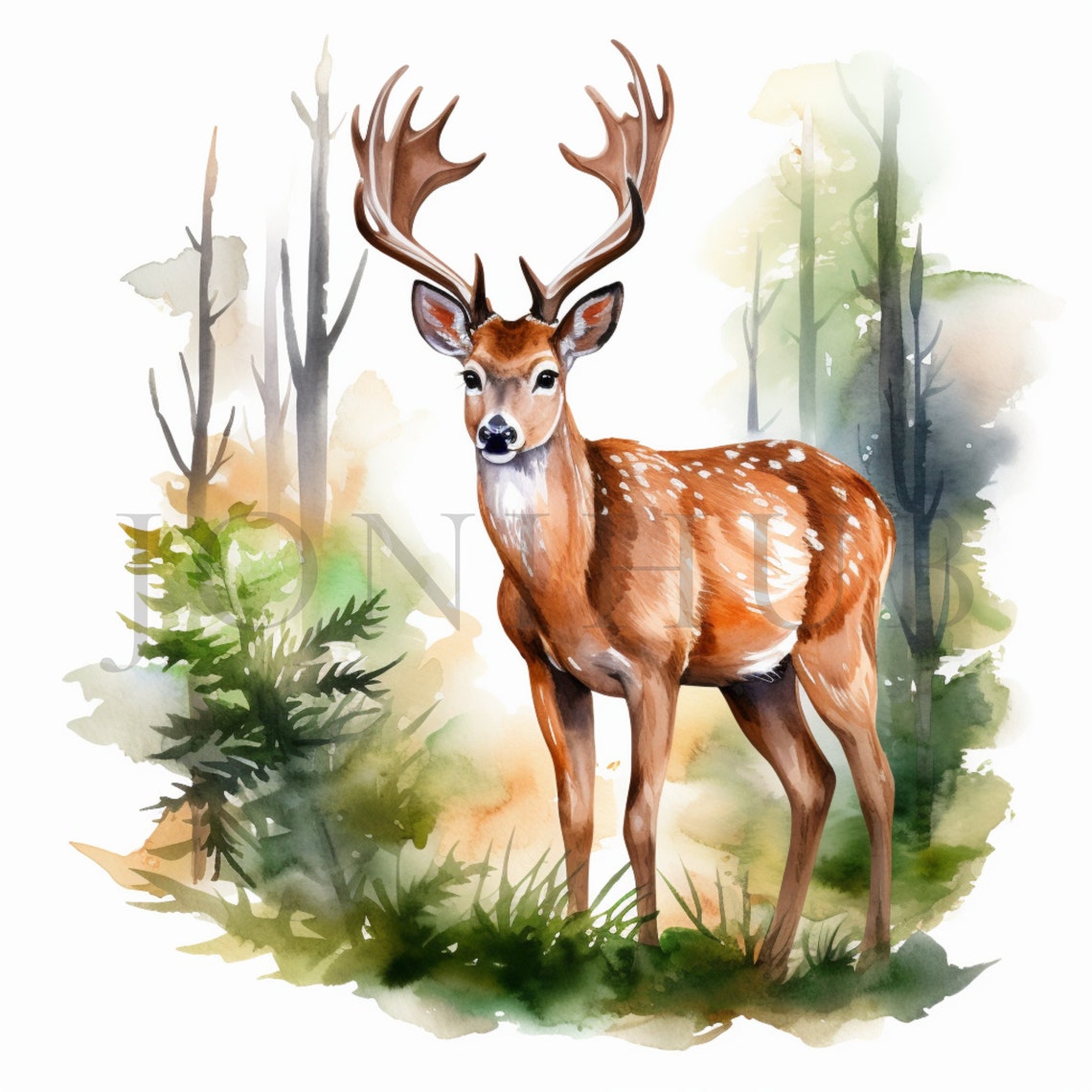 Watercolor Deer in a Forest Clipart 10 High Quality Jpgs Digital ...