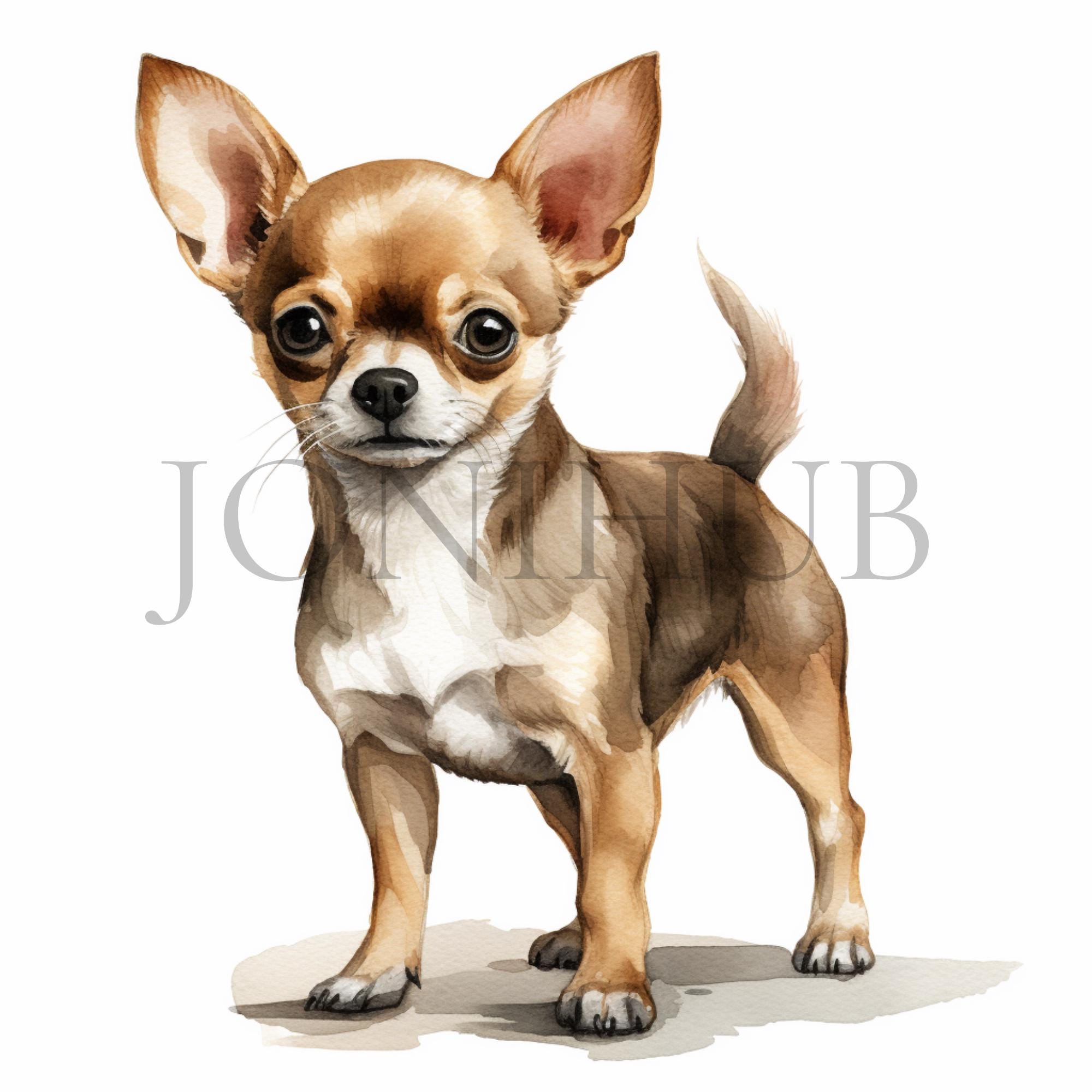 Chihuahua Clipart | 10 High Quality Jpg's | Digital Download | Cute Dog ...