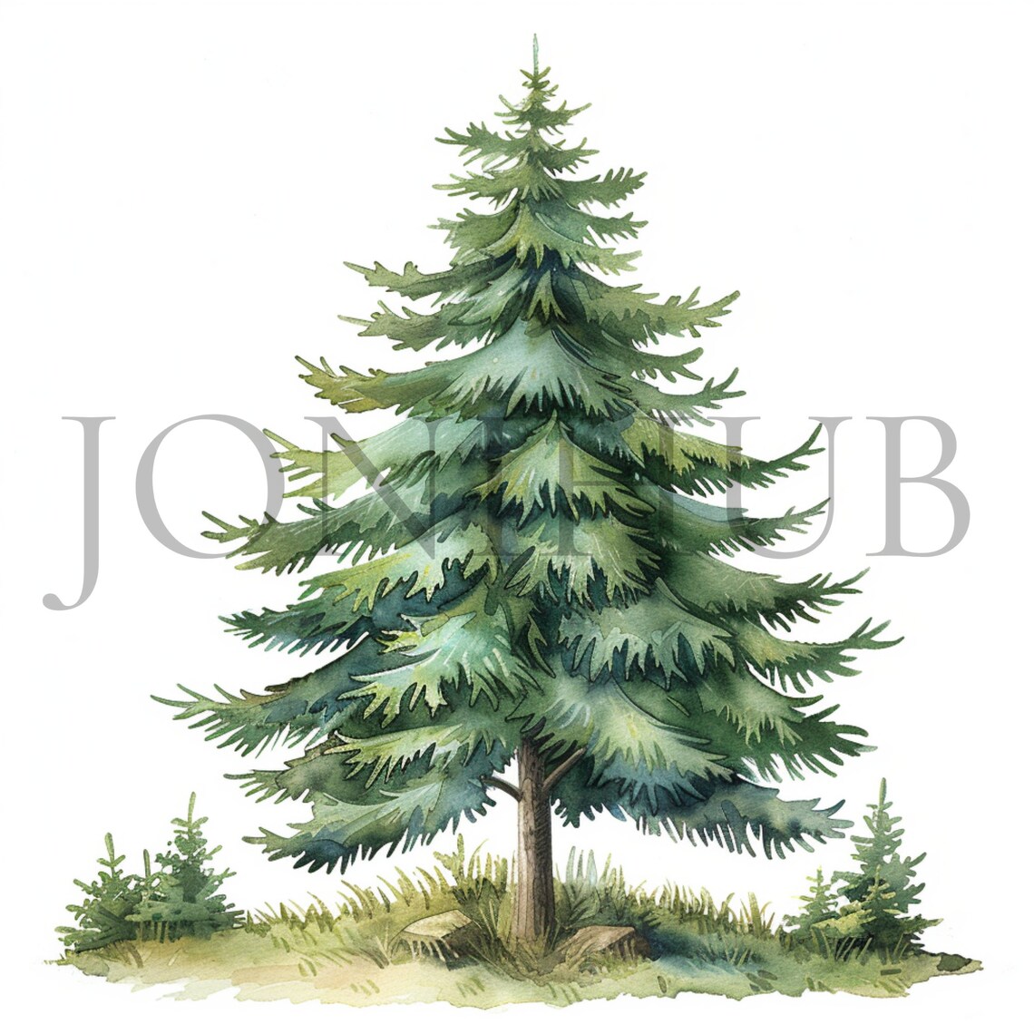 Fir Trees Clipart 10 High Quality Jpg's Digital Download Fir Tree ...