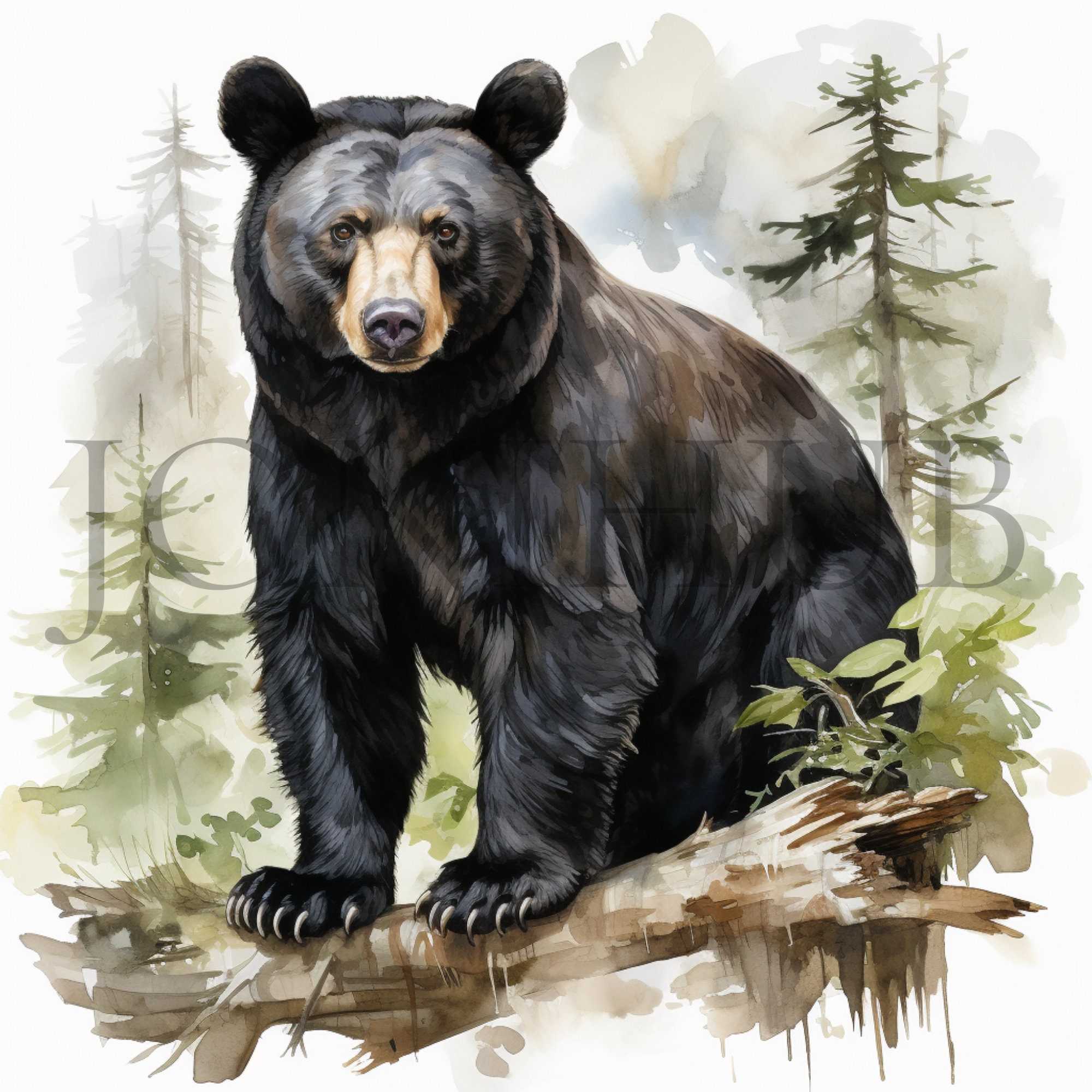 Watercolor Black Bear Clipart 10 High Quality Jpgs Digital Download ...