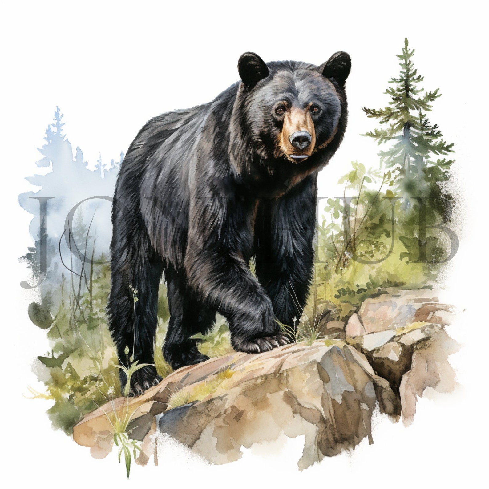 Watercolor Black Bear Clipart 10 High Quality Jpgs Digital Download ...